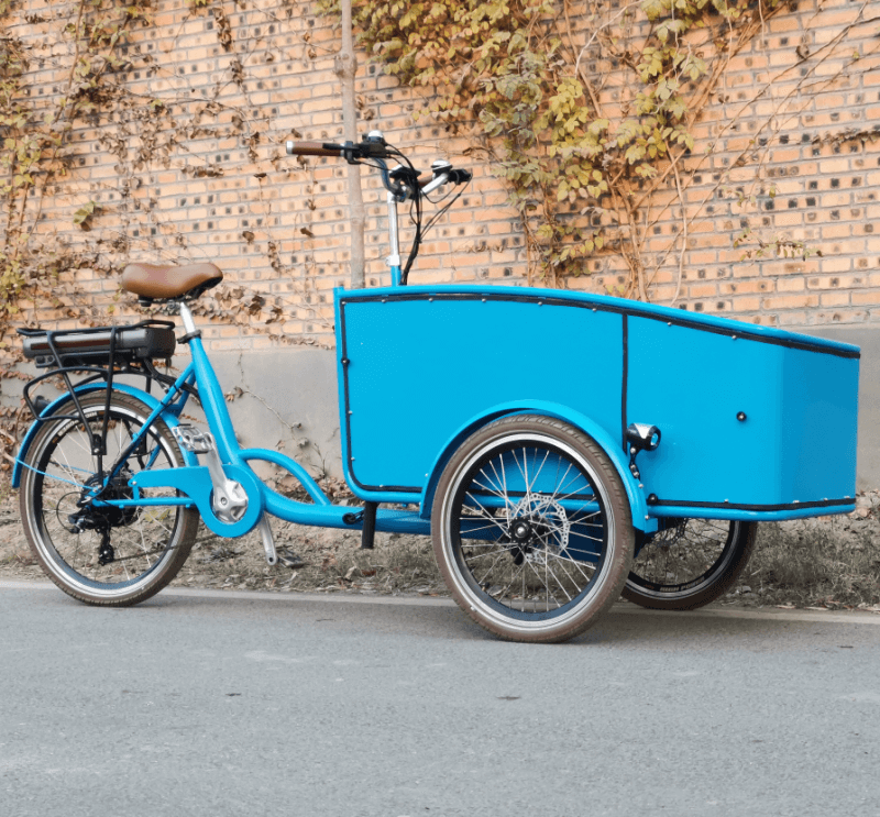 Family Decathlon Electric Cargo Bike for Sale - Top Cargo Bike