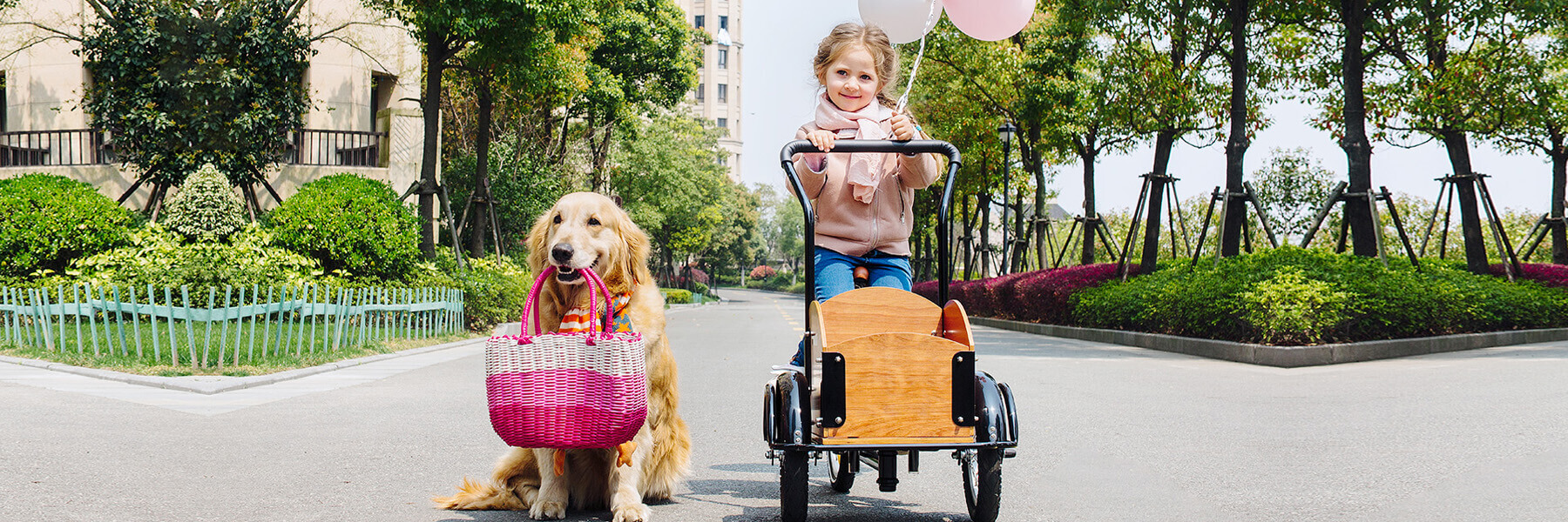 an Electric Cargo Bike Is a Game-Changer for Dog Owners